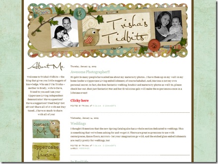 tlcthecreativeblog: A BLOGwear blog and an Adoption Portfolio